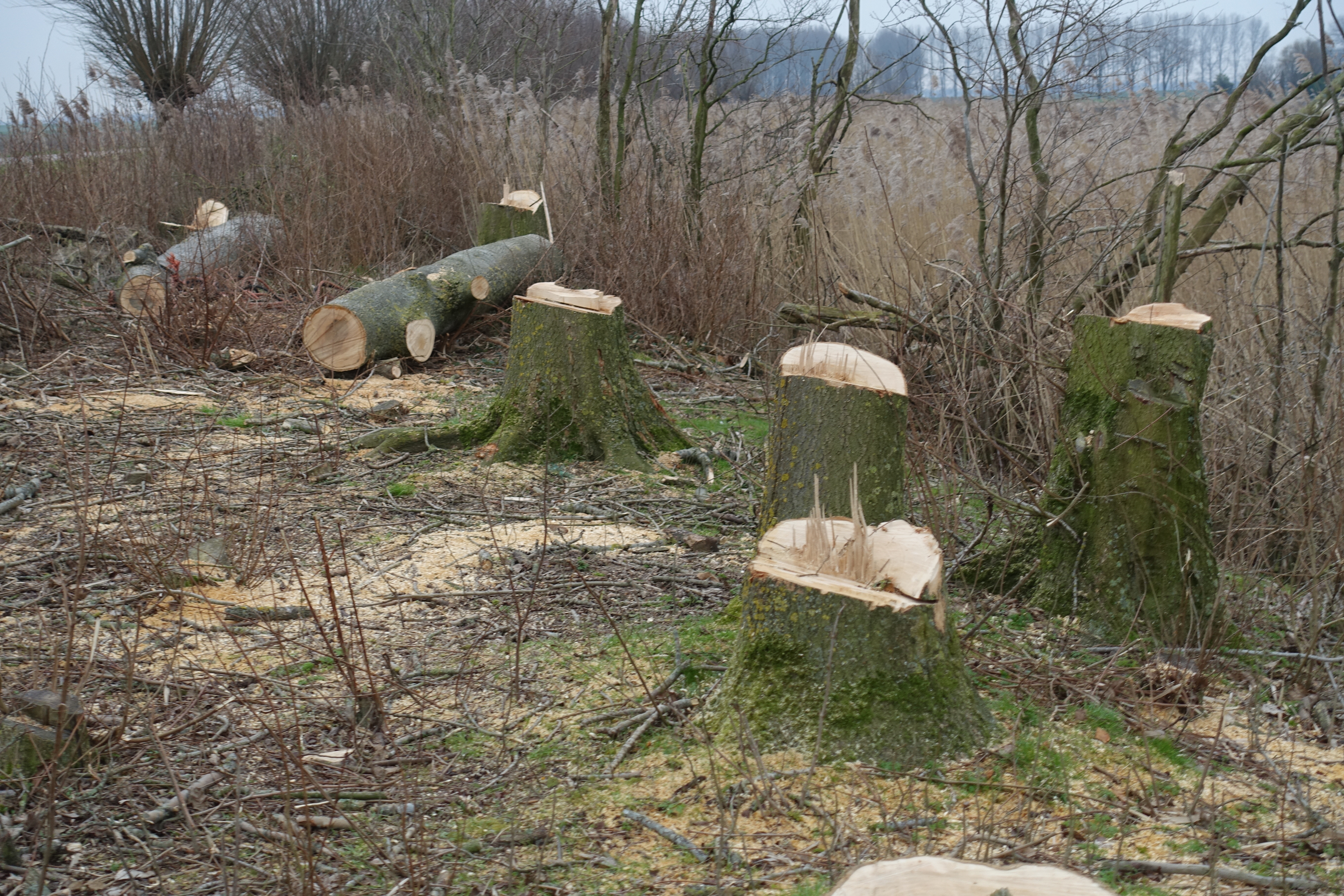 Een berg werk – amerkantop.com