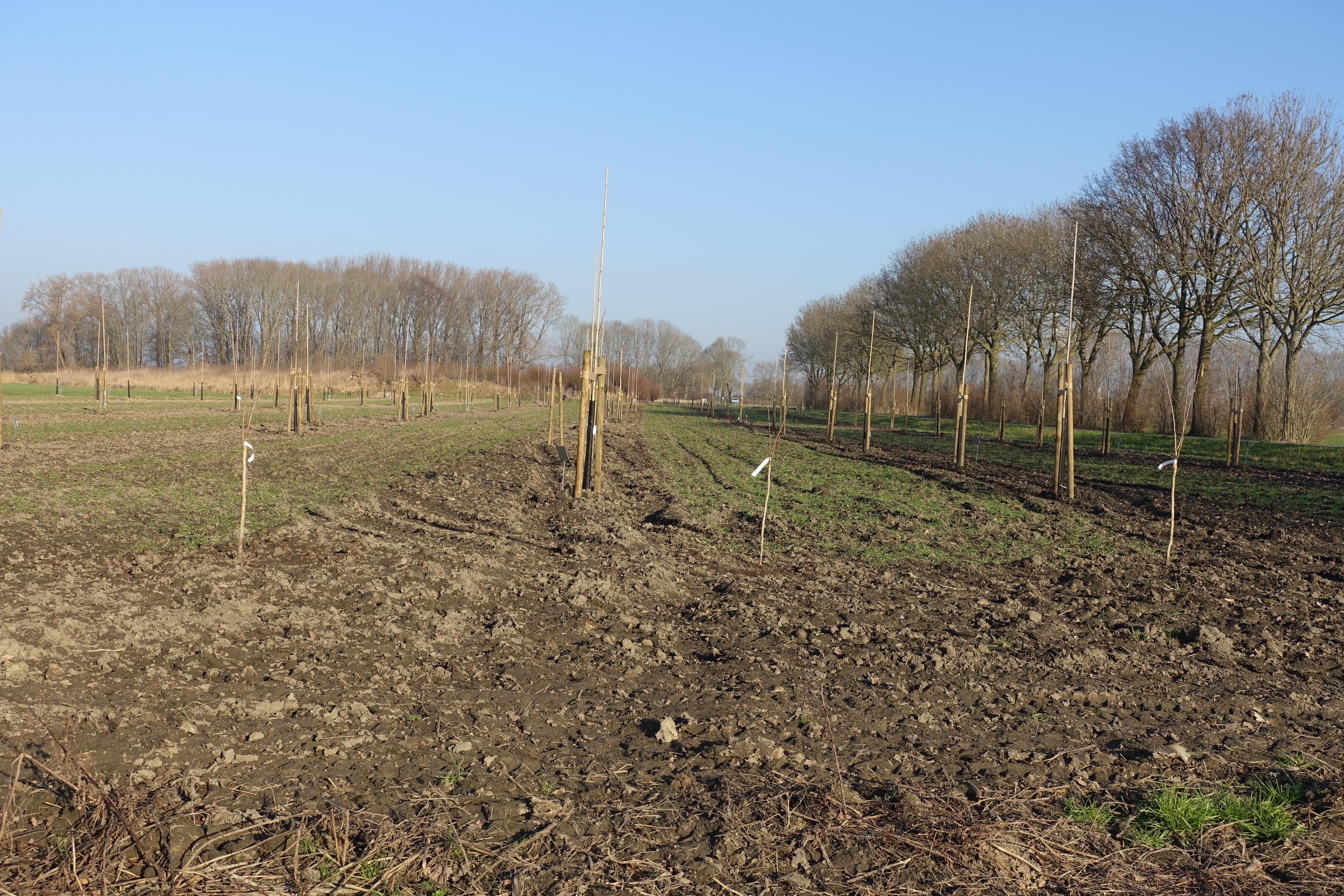 Een berg werk – amerkantop.com